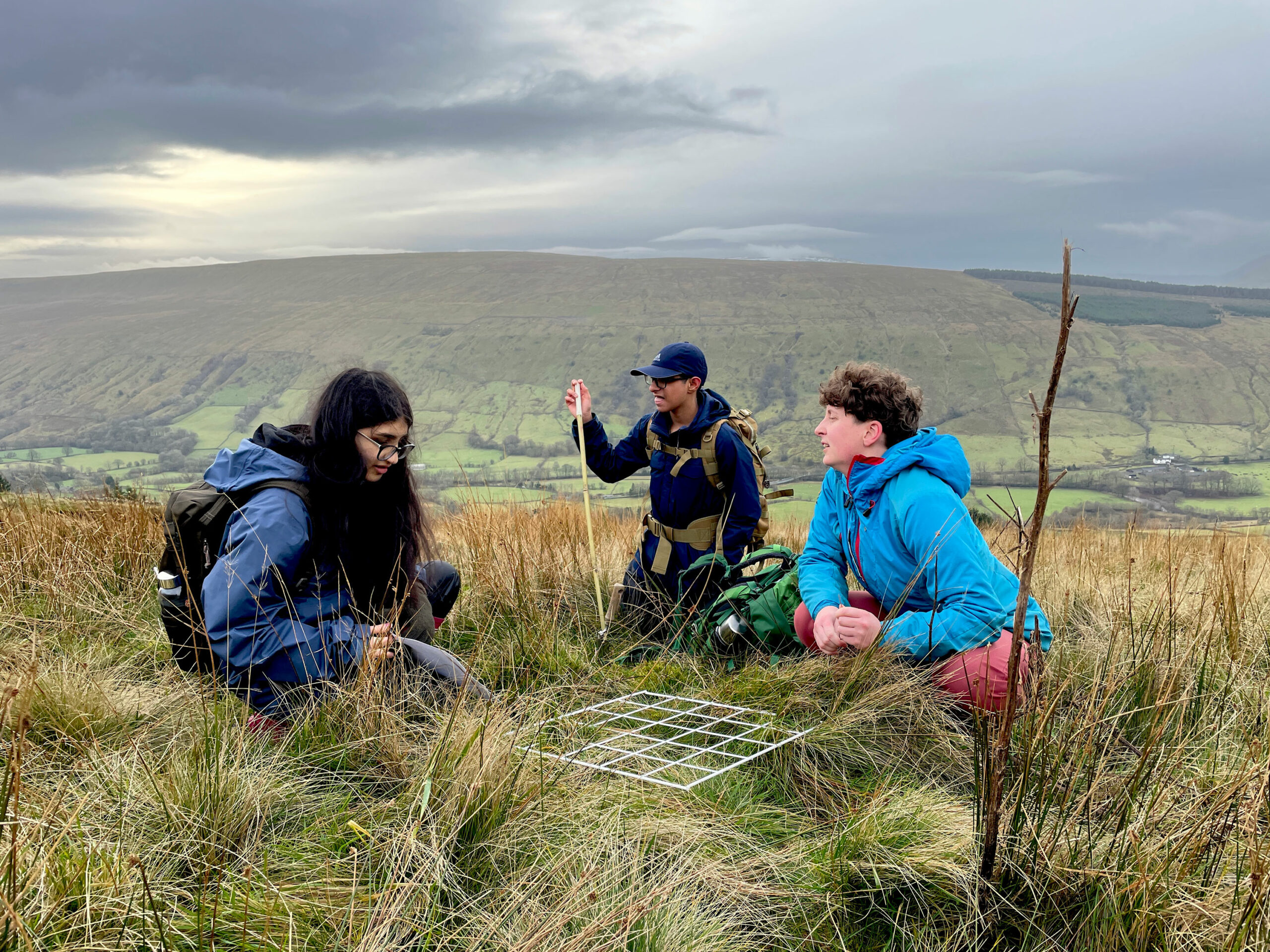 The Role ofthe Trustee | The Ernest Cook Trust